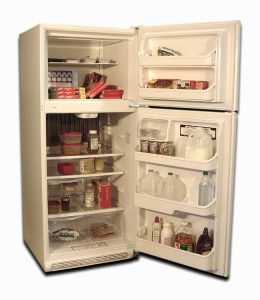 EZ Freeze 21 Cu. Ft. Stainless Steel Natural Gas Refrigerator
