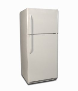 EZ Freeze 21 Cu. Ft. Stainless Steel Natural Gas Refrigerator